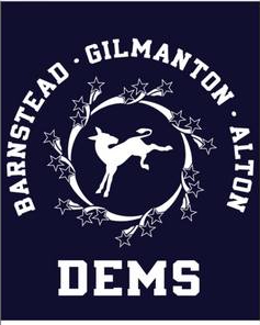 Tri-Town Democrats Monthly Meeting – Belknap County Democratic ...